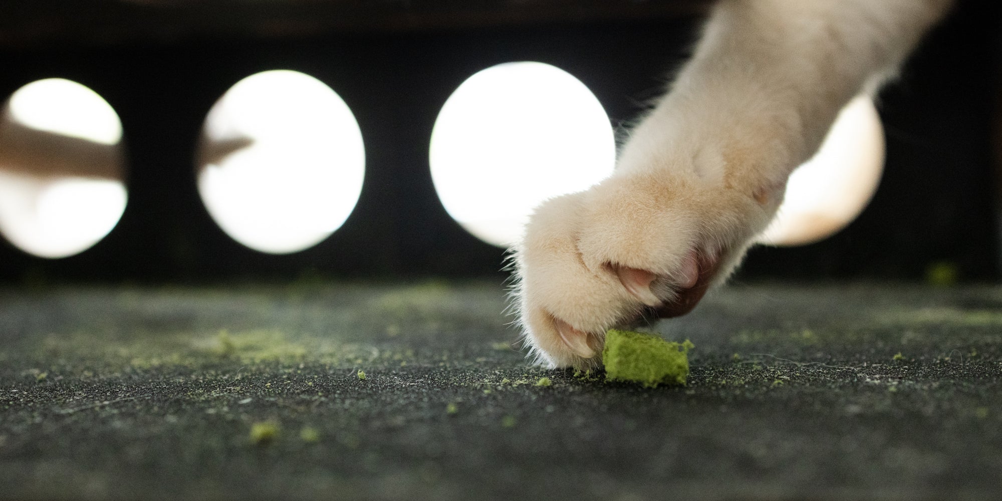 Fig & Friends – Fig & Friends