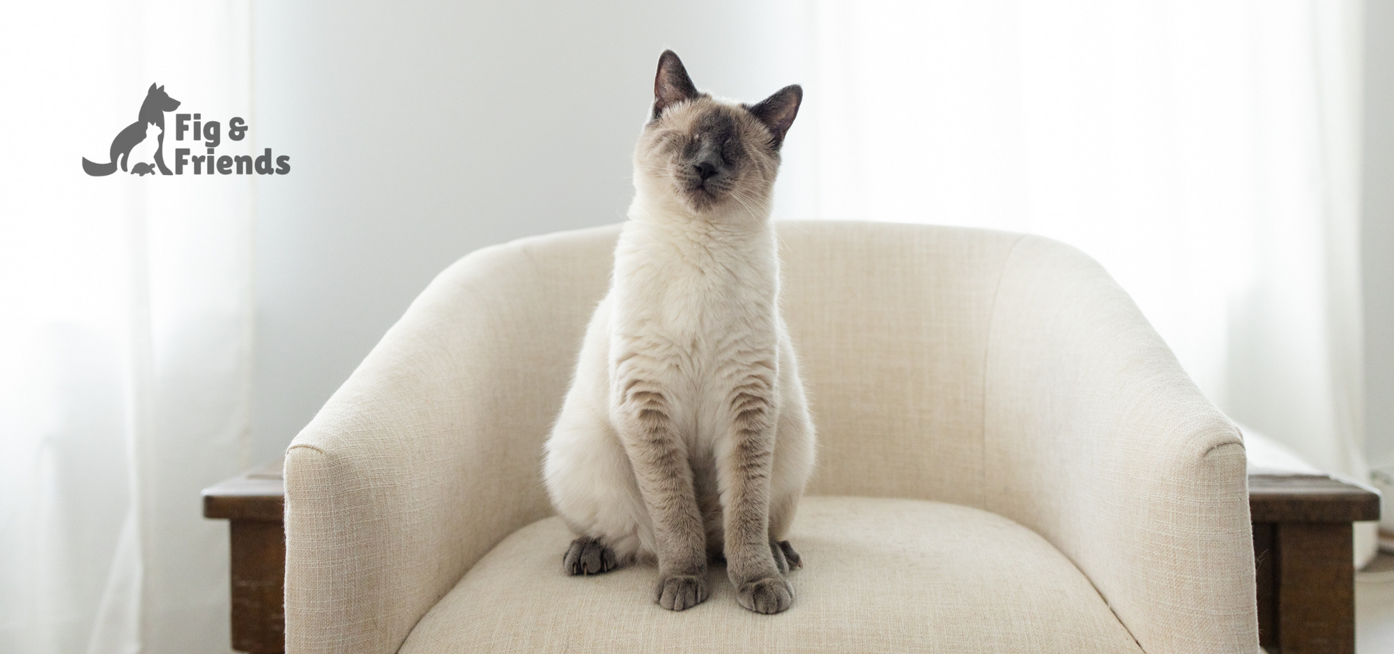 Fig & Friends – Fig & Friends