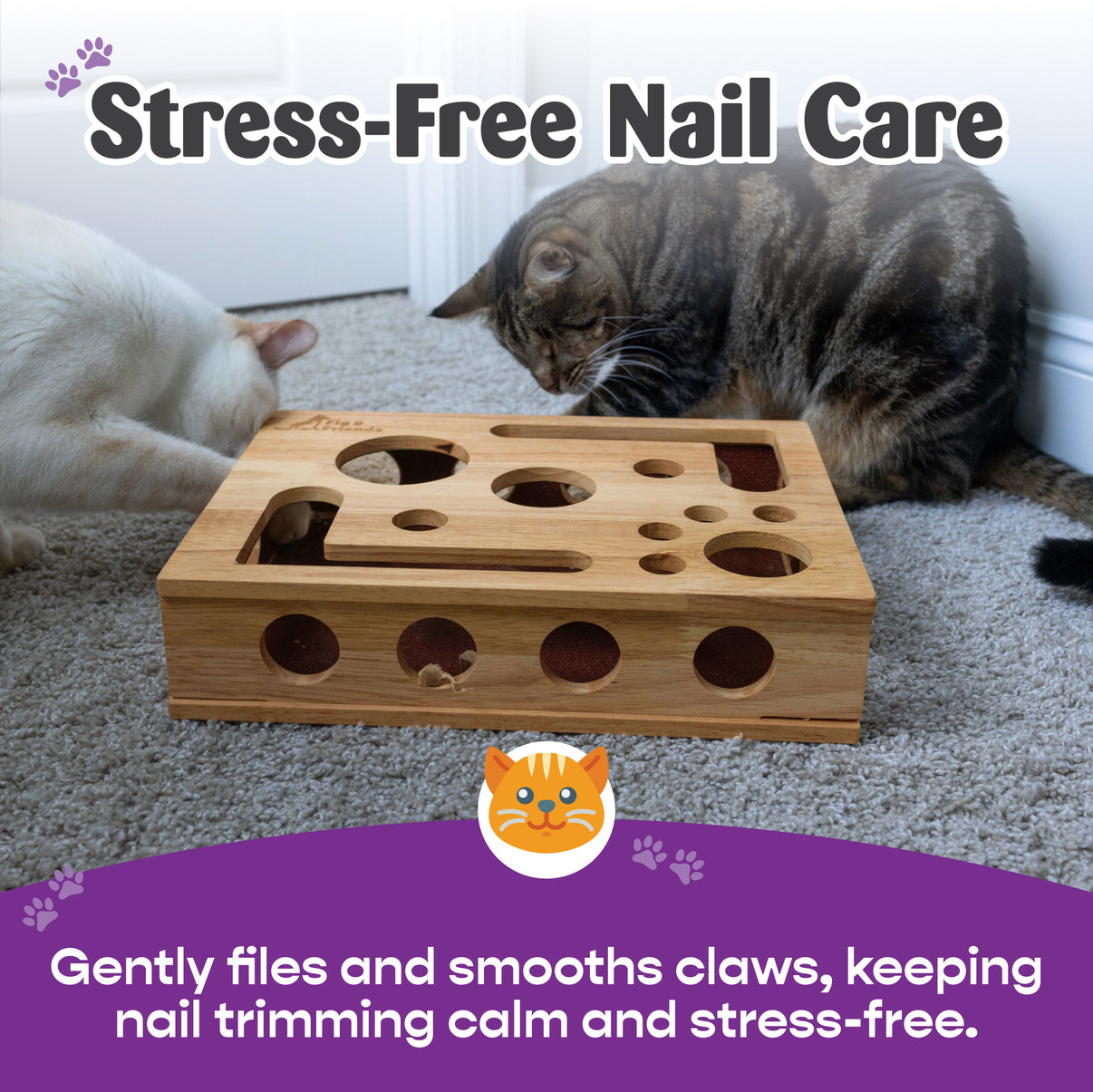 Cat Nail File Enrichment Box – Fig & Friends